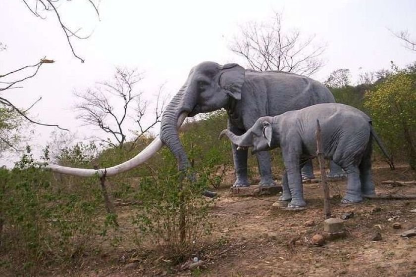 Suketi Fossil Park Trail – Walking with Giants in the Shivaliks | A ...